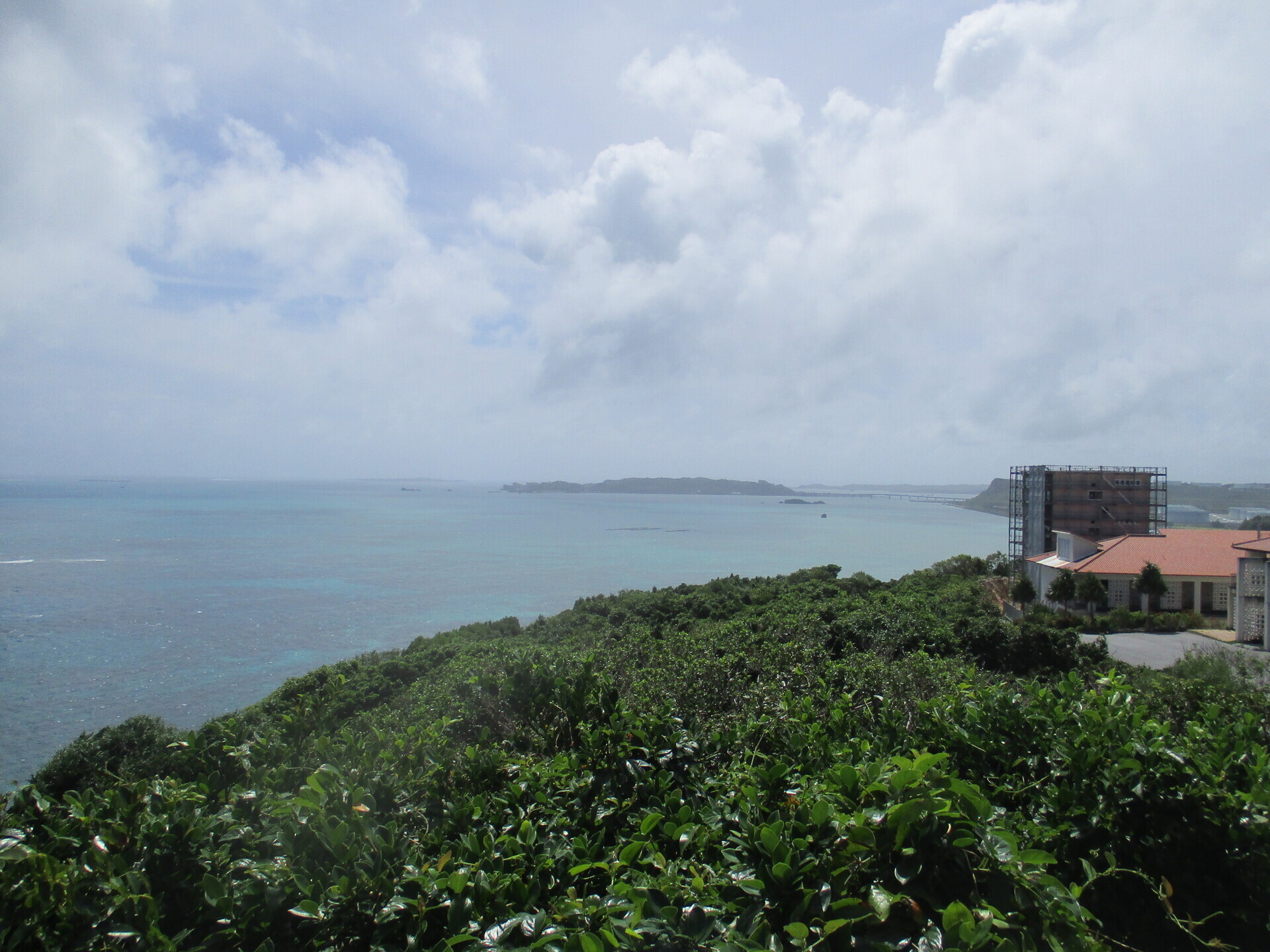 プチ断食の効果のエビデンス確立: 総合診療医からの健康アドバイス