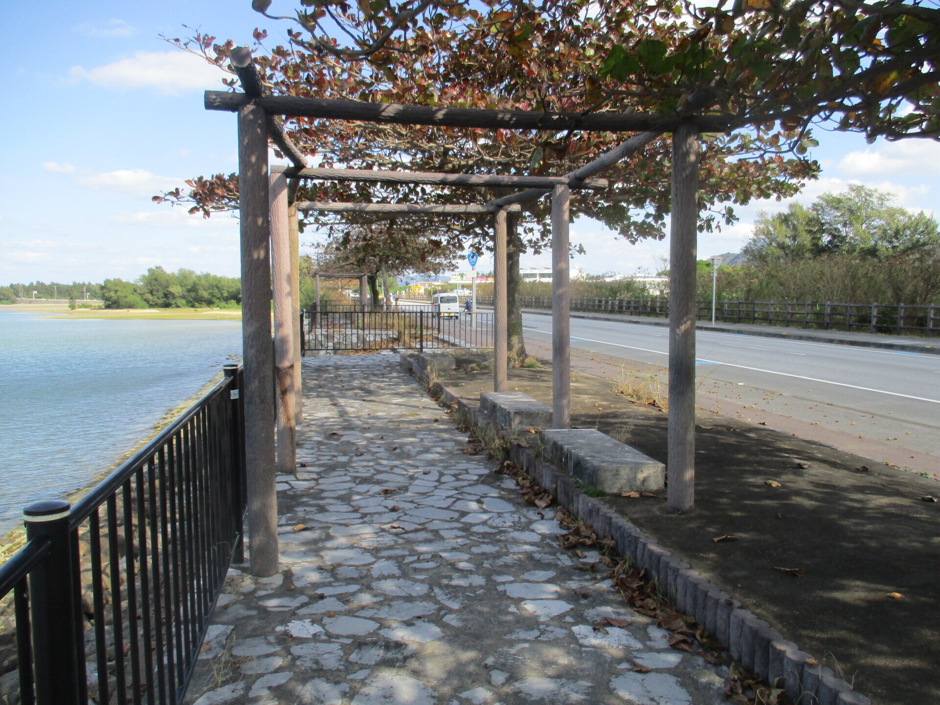 デジタル兵器の危ないシナリオ: 総合診療医からの健康アドバイス