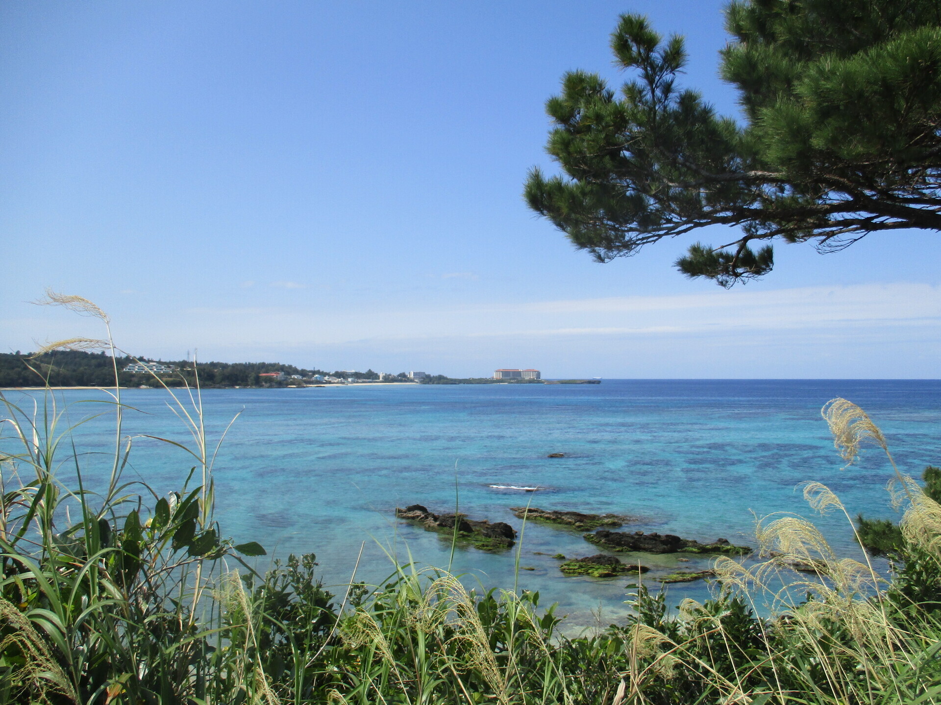 セマグルチド使用上の注意点: 総合診療医からの健康アドバイス